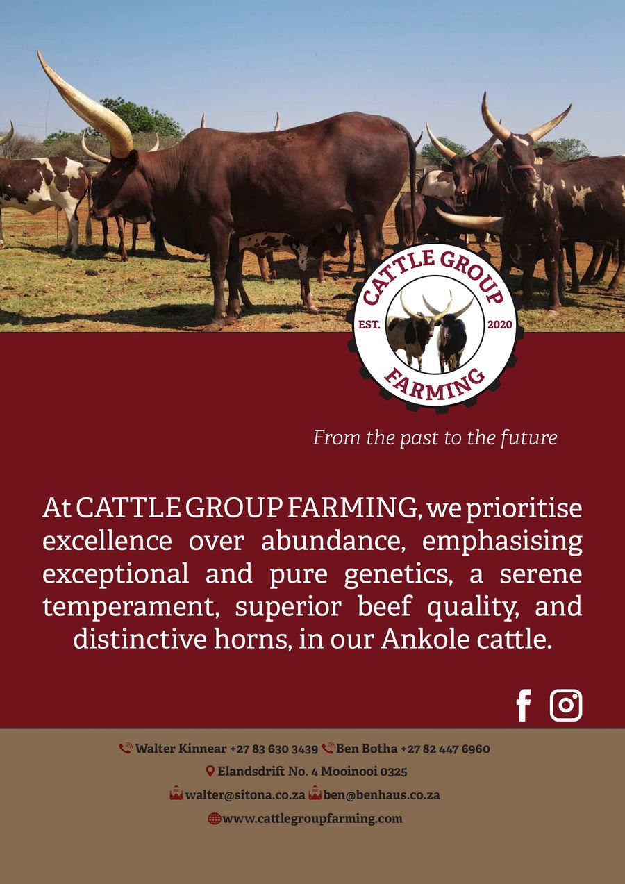Cattle Group Farming Brochure 2024 DRAFT PDF BOOKLET by Tanya - Flipsnack
