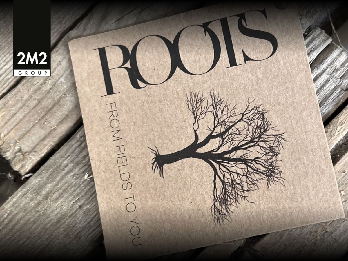 2M2 ROOTS - 3.0 by 2M2 GROUP - Flipsnack