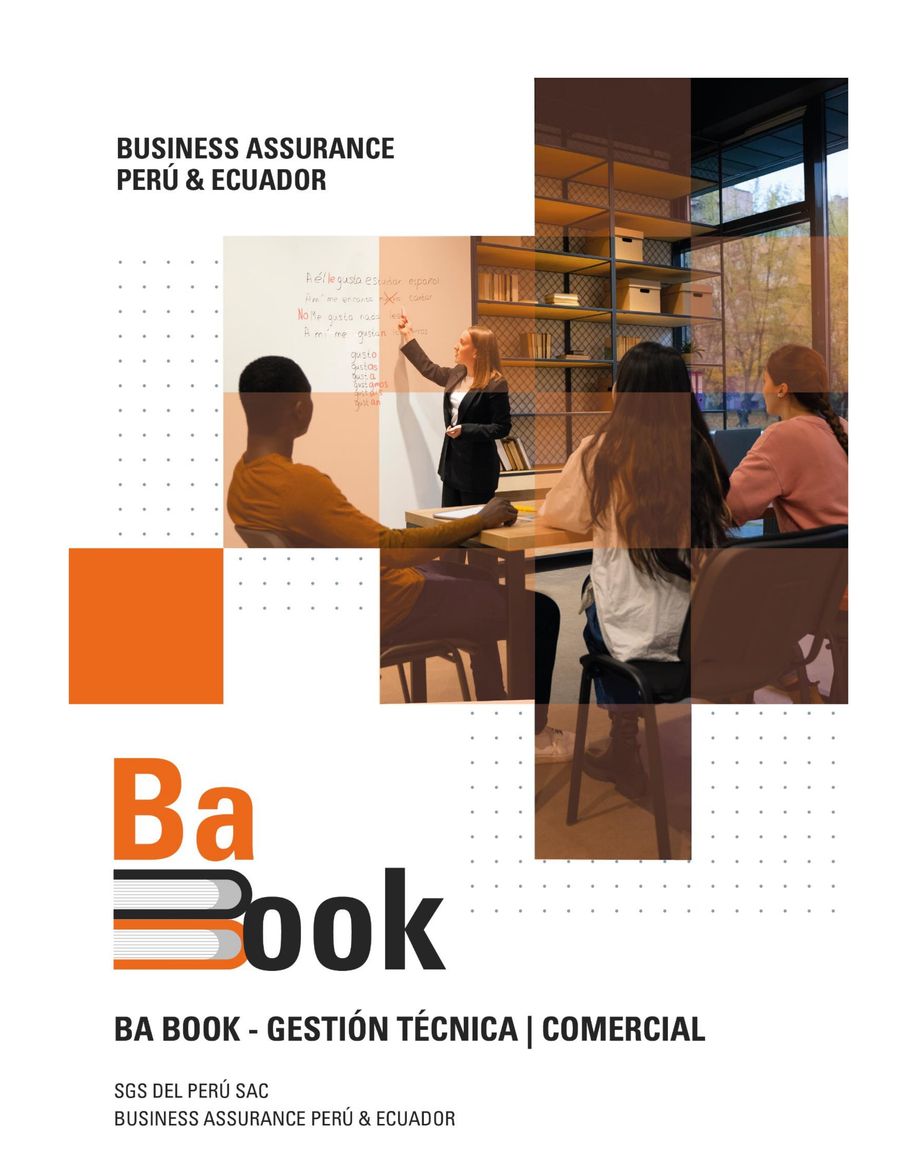 SGS_BA Book 2025_v00 by Nestor Castilla... - Flipsnack