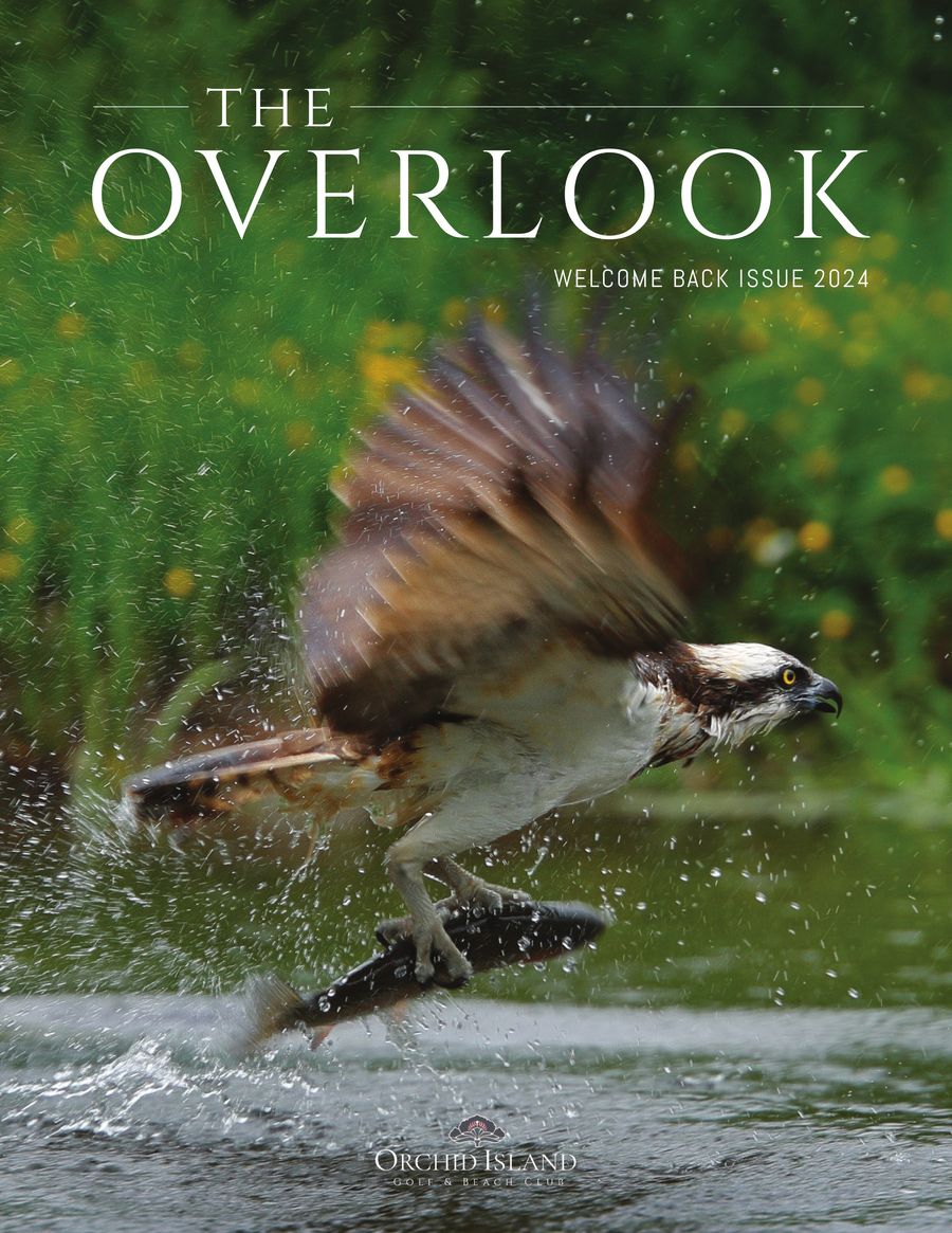 The_Overlook_Welcome_Back_Issue_2024 by Orchid Island Realty - Flipsnack