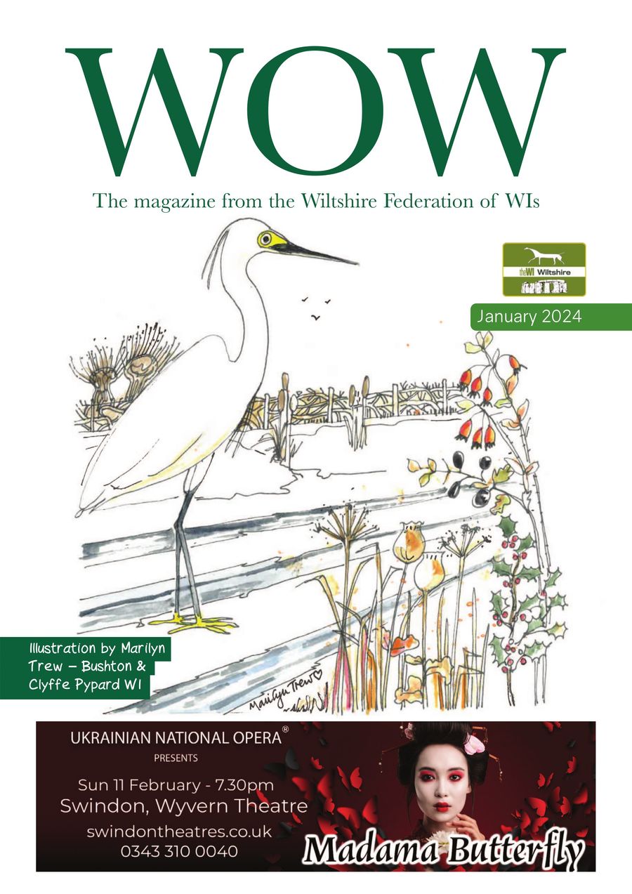 WOW - January 2024 by Greg Davis - Flipsnack