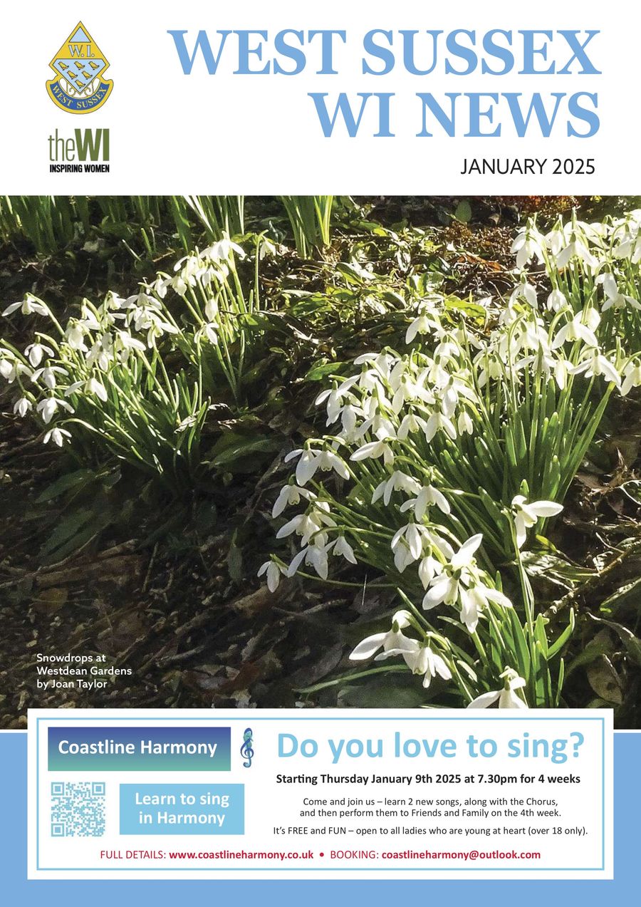 West Sussex WI News - Jan 2025 by Greg Davis - Flipsnack