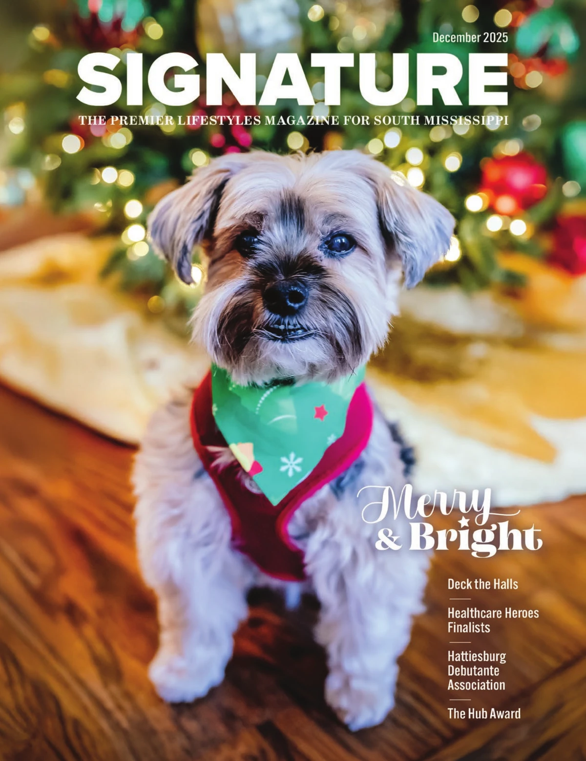 Signature Magazine | December 2025 by Emmerich Newspapers - Flipsnack