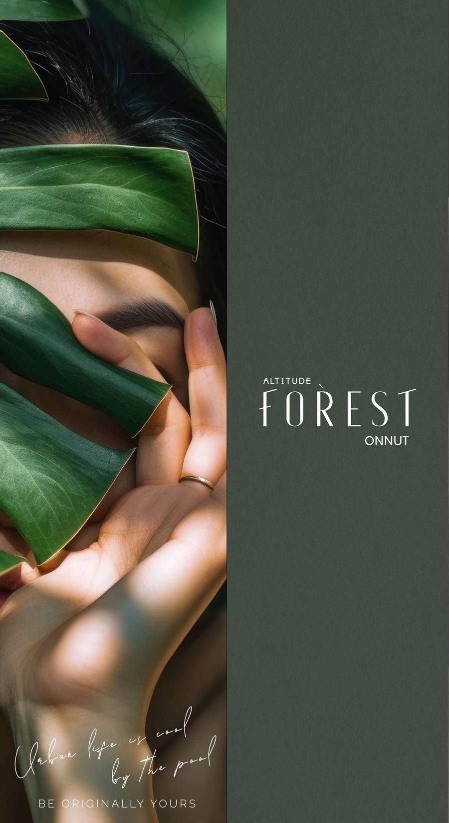 Forest Onnut mini Brochure by Altitude... - Flipsnack