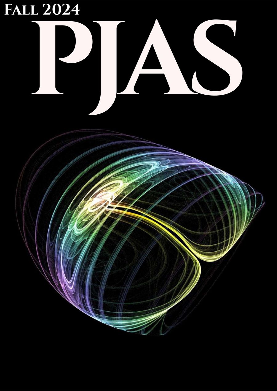 PJAS Issue 2 (Research): Reaching Higher Dimensions by Sophie Kadan ...