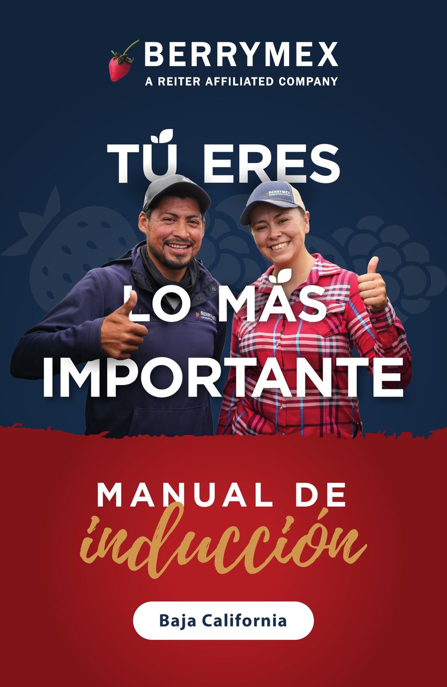 Manual Induccion Baja by Reiter Affiliated...