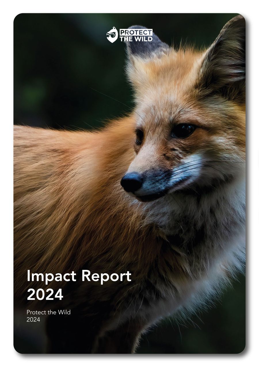 Impact Report 2024 (1) by Robert Pownall - Flipsnack