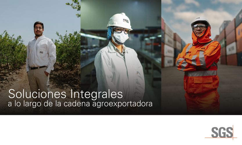 SGS Perú, catalogs.pe.sgs.com