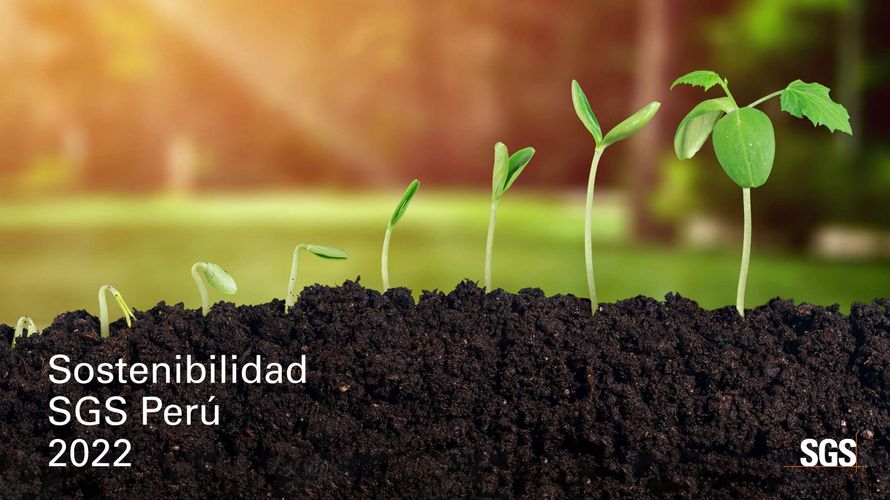 SGS Perú, catalogs.pe.sgs.com