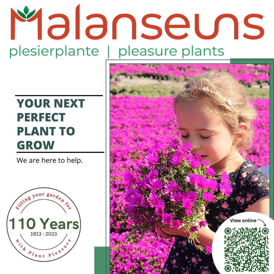 Malanseuns Uitvoer booklet (1) by Plantland... - Flipsnack