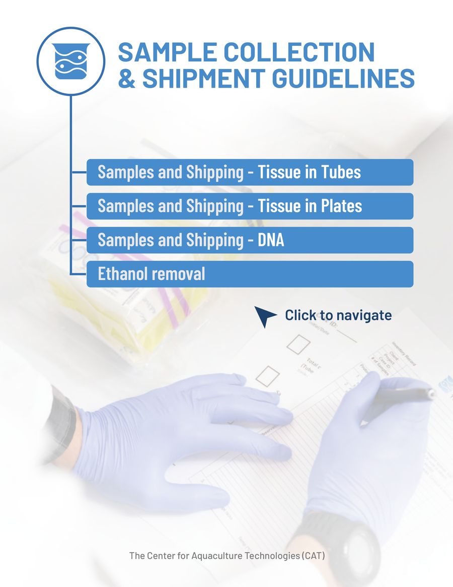 Sample and Shipping Guidelines Jan 2025 by Anastasia Karelova - Flipsnack