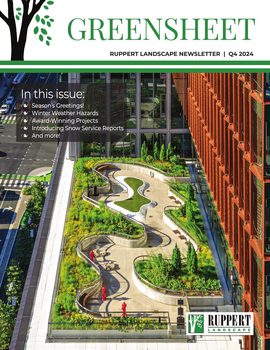 Q4 2024 Greensheet Newsletter by Ruppert Landscape - Flipsnack