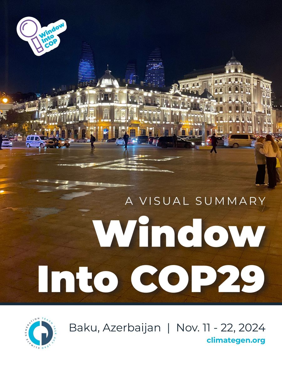 COP29 Visual Summary by Zoe - Flipsnack