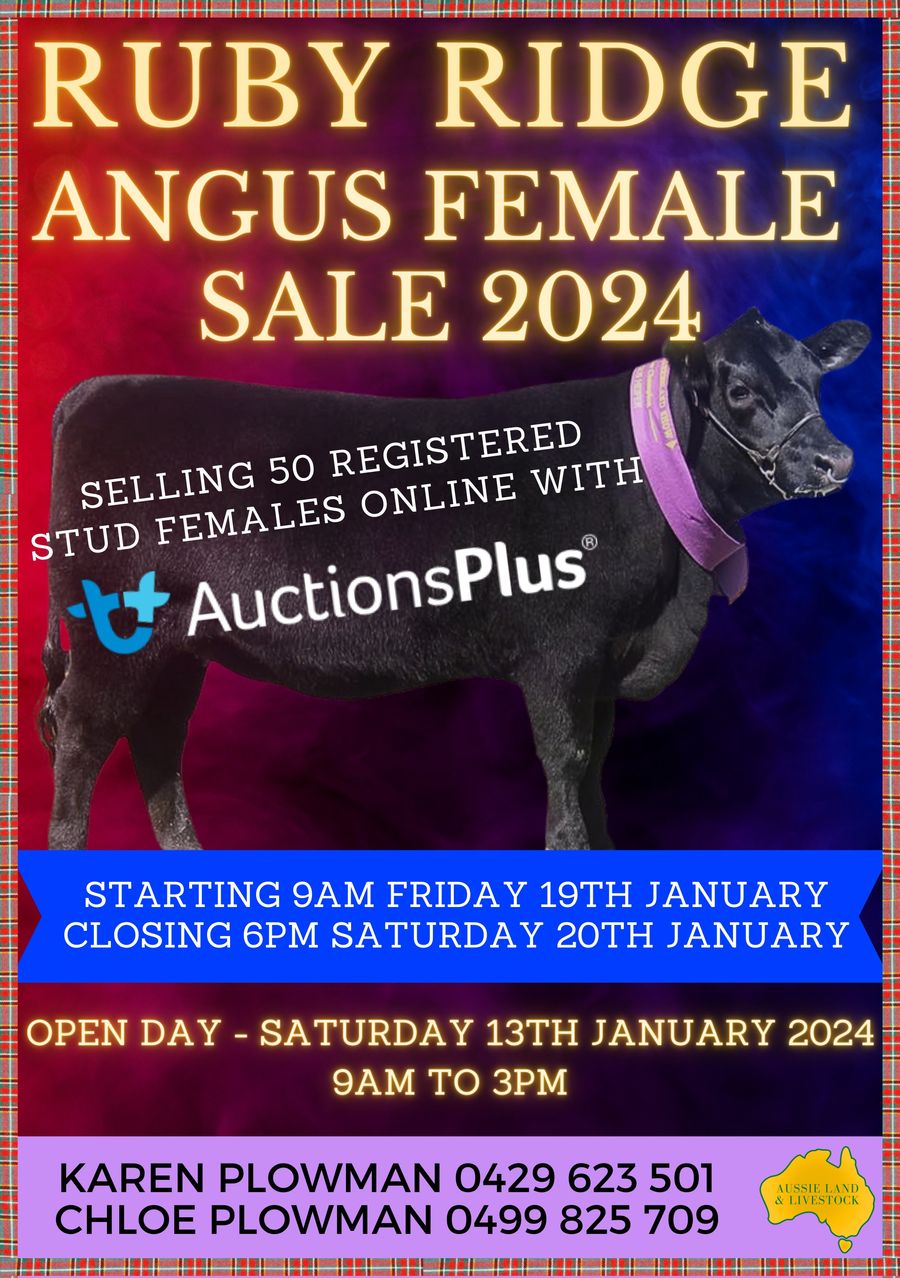 CATALOGUE RUBY RIDGE ANGUS FEMALE SALE 2024 by Chloe Plowman - Flipsnack