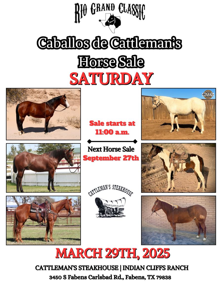 Caballos de Cattleman's March Horse Sale 2025 by Leslie Rios - Flipsnack