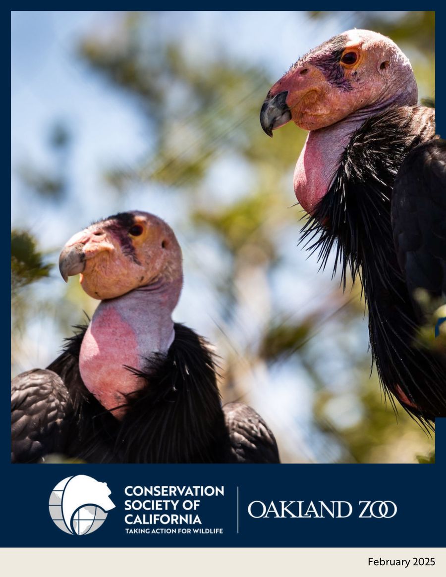 February 2025 Combined Publication by Dominic Windsor - Flipsnack