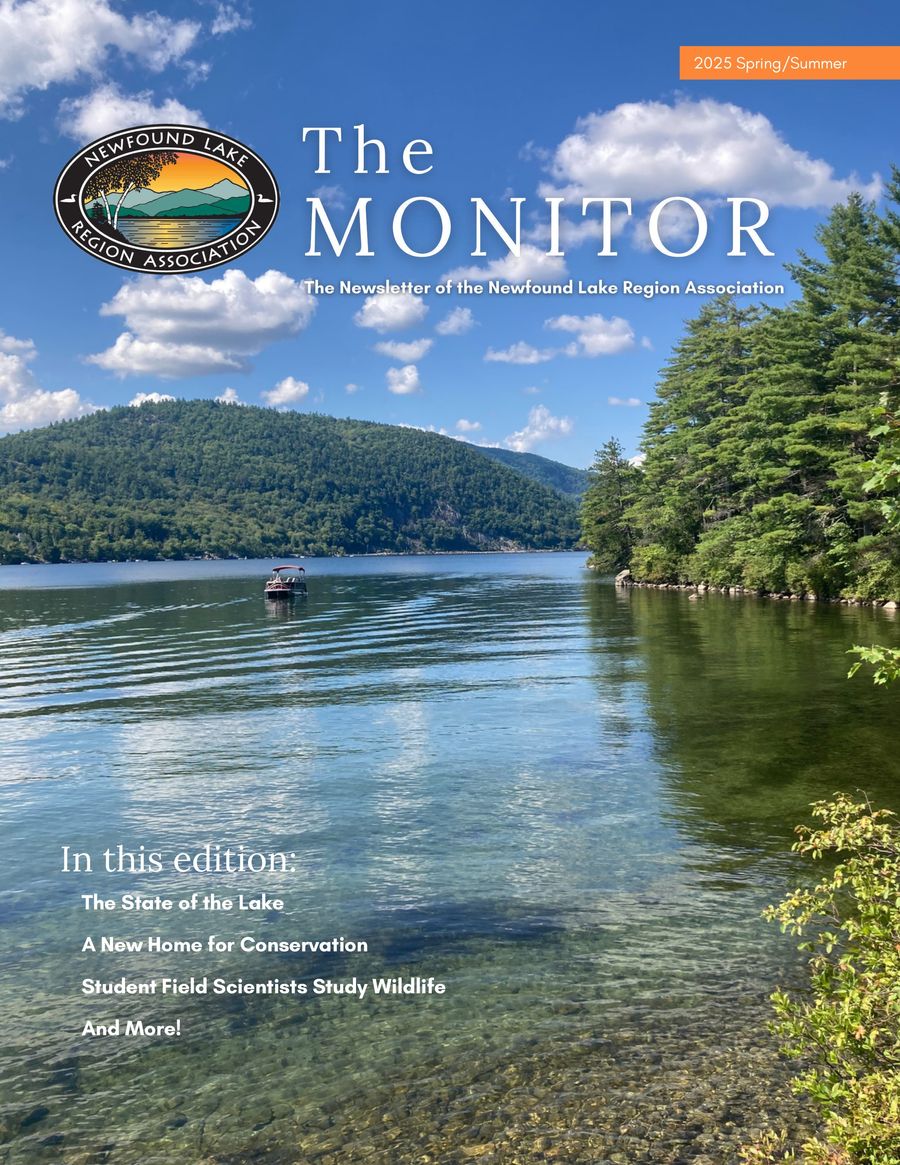 The Monitor Spring/Summer 2025 by Audrey West - Flipsnack