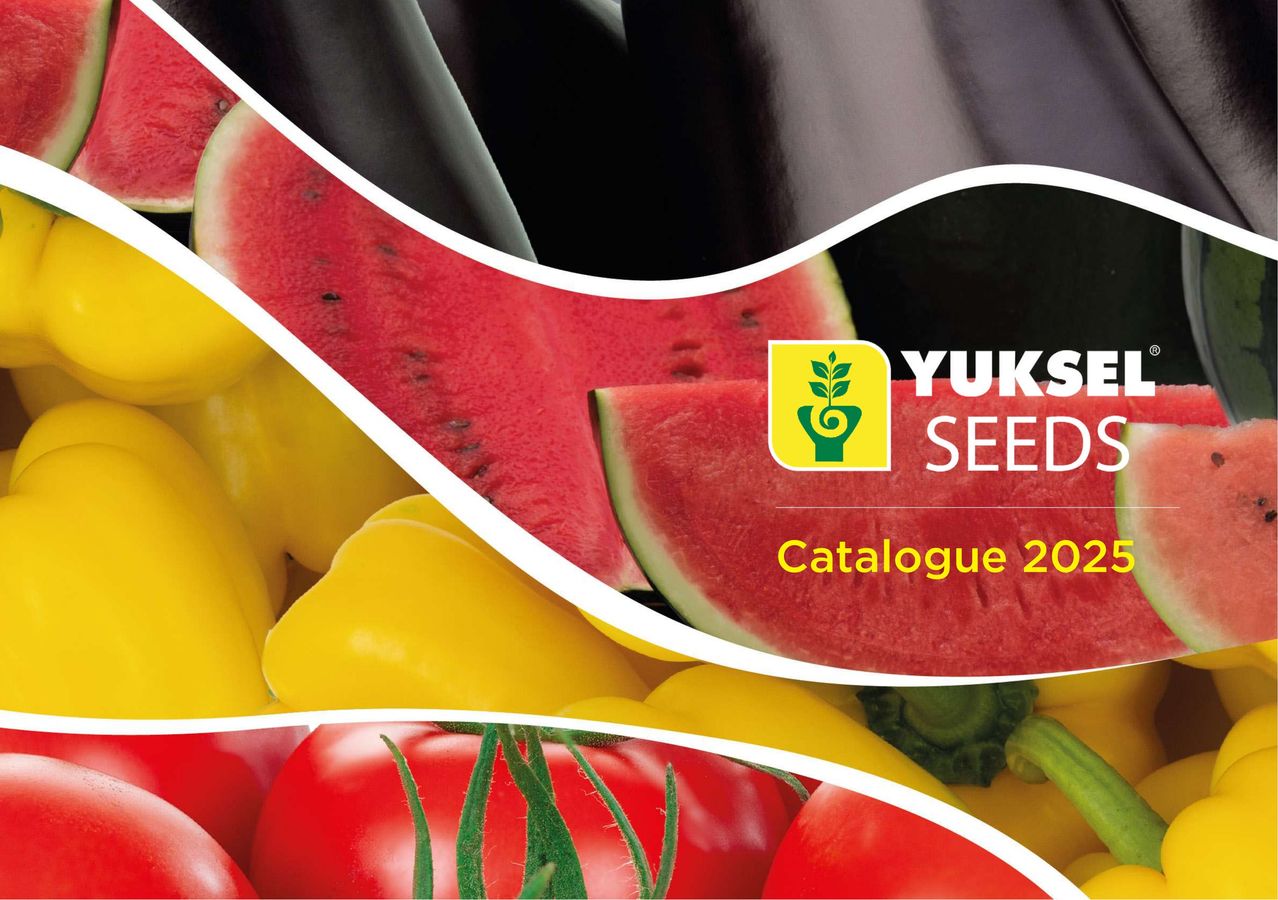 Catalogue International 2025 by Yuksel Seeds - Flipsnack