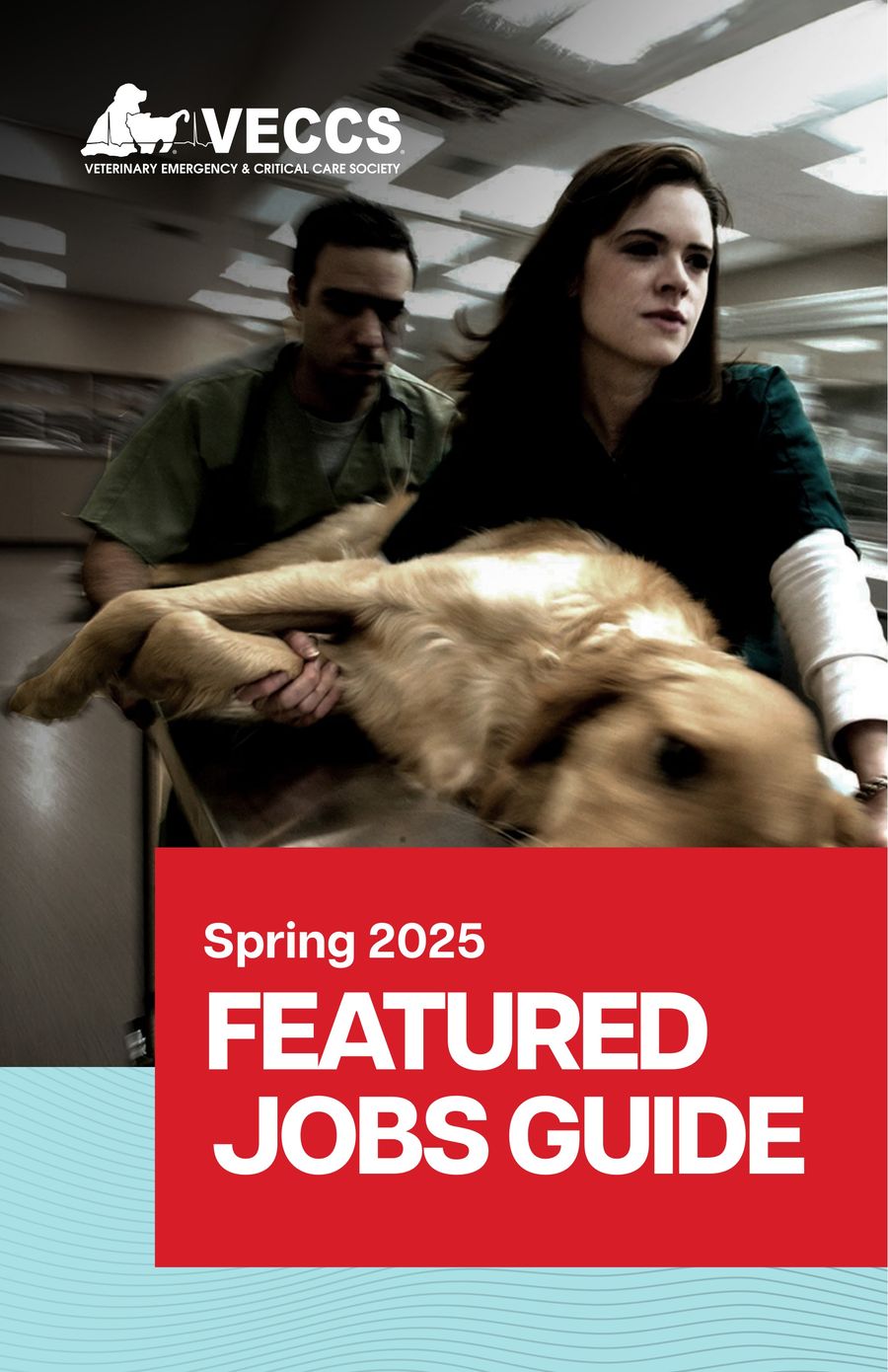 Spring 2025 VECCS Featured Jobs Guide by YM Careers - Flipsnack