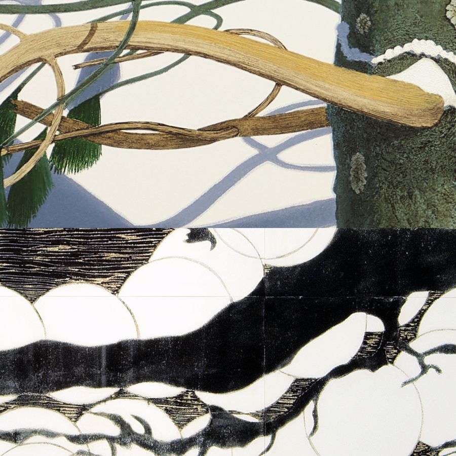 Framing Nature's Paradox Digital Catalog by Morris Museum - Flipsnack