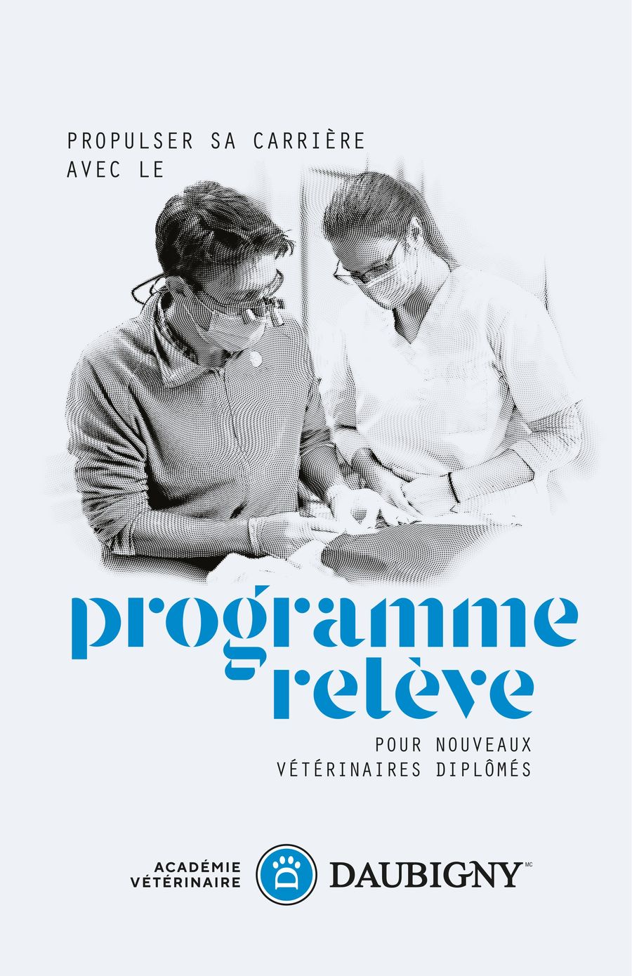 Programme de releve pour nouveaux veterinaires by VetStrategy - Flipsnack