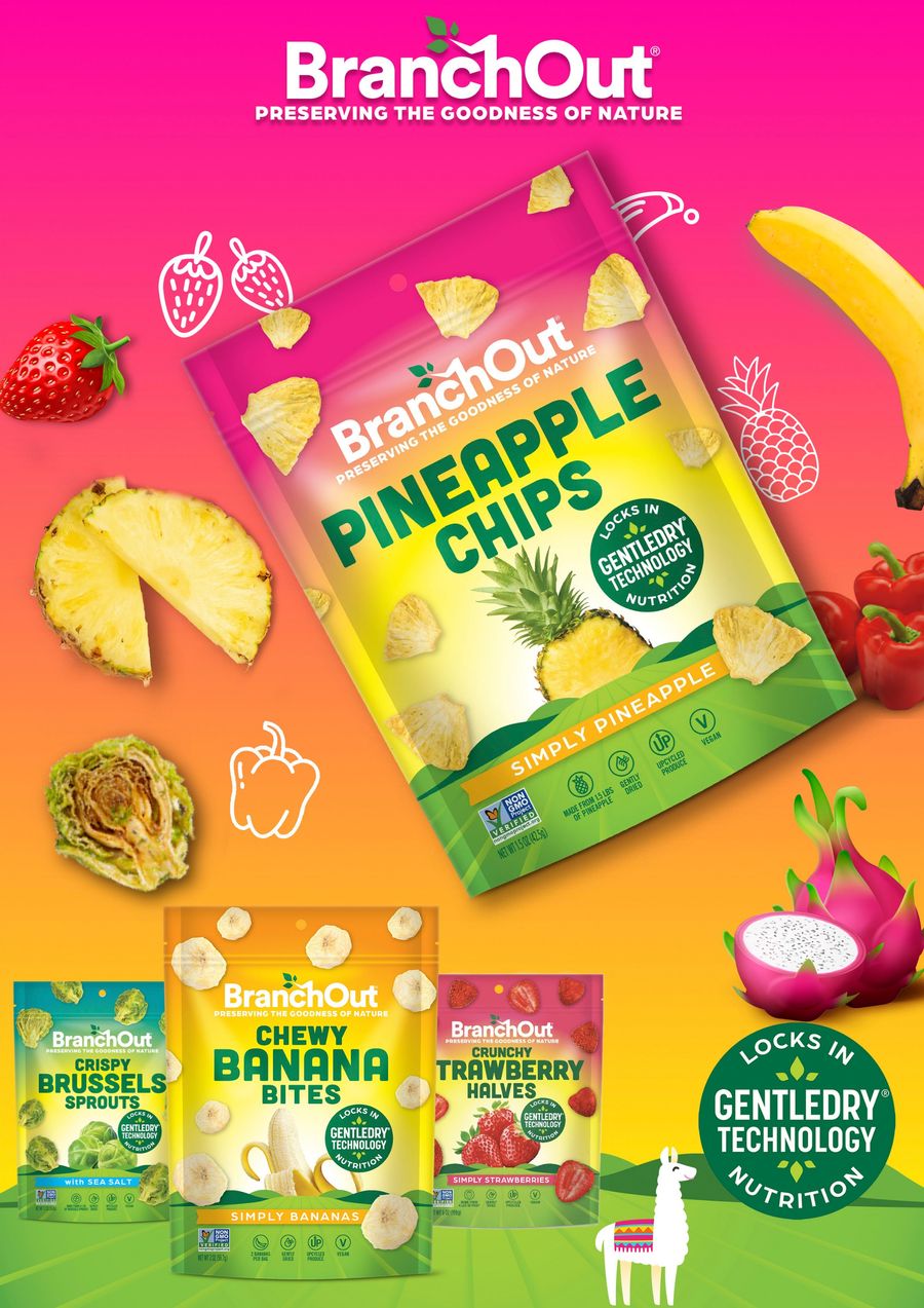 BranchOut Sales Brochure 2025 by Eric - Flipsnack