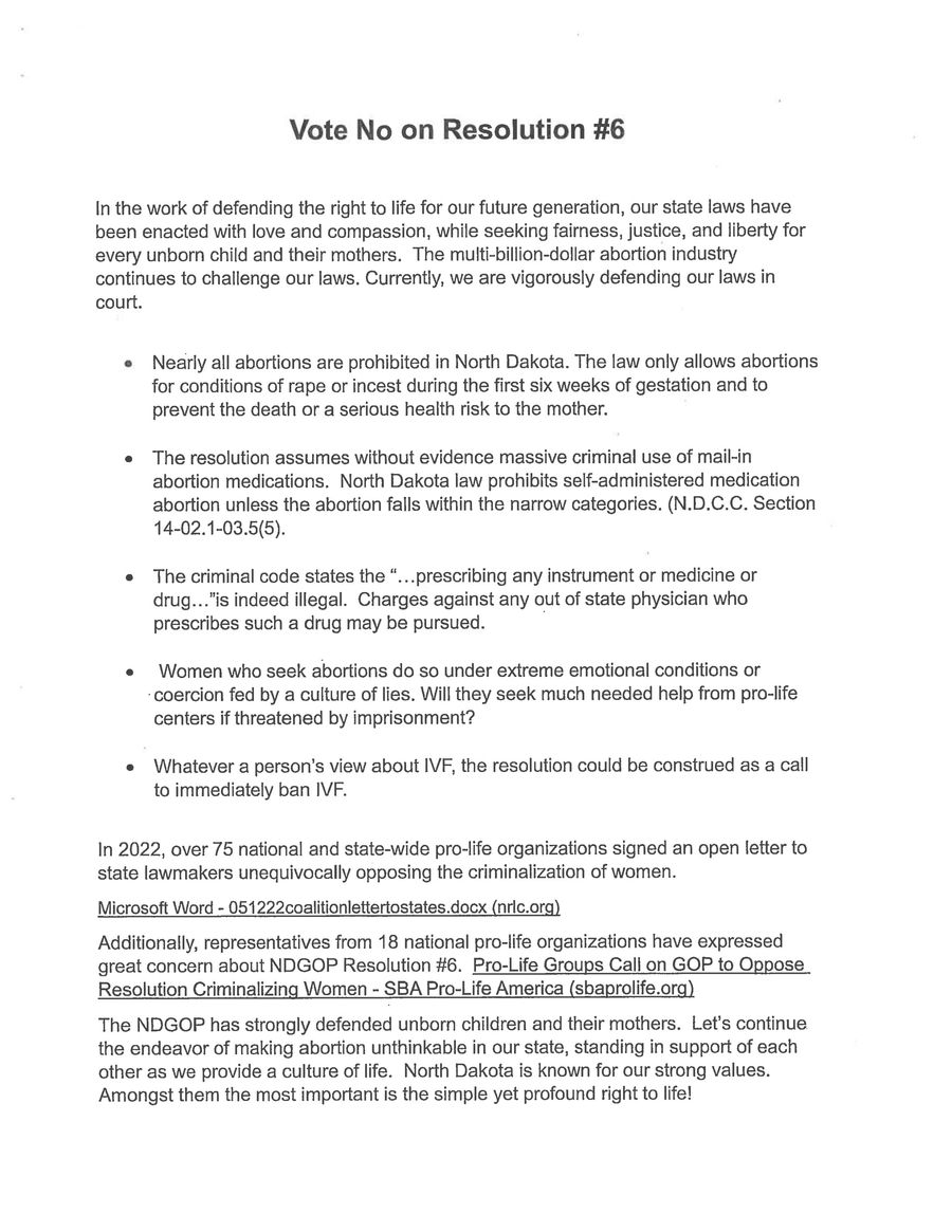 Resolution 6 handout by Amber Vibeto - Flipsnack