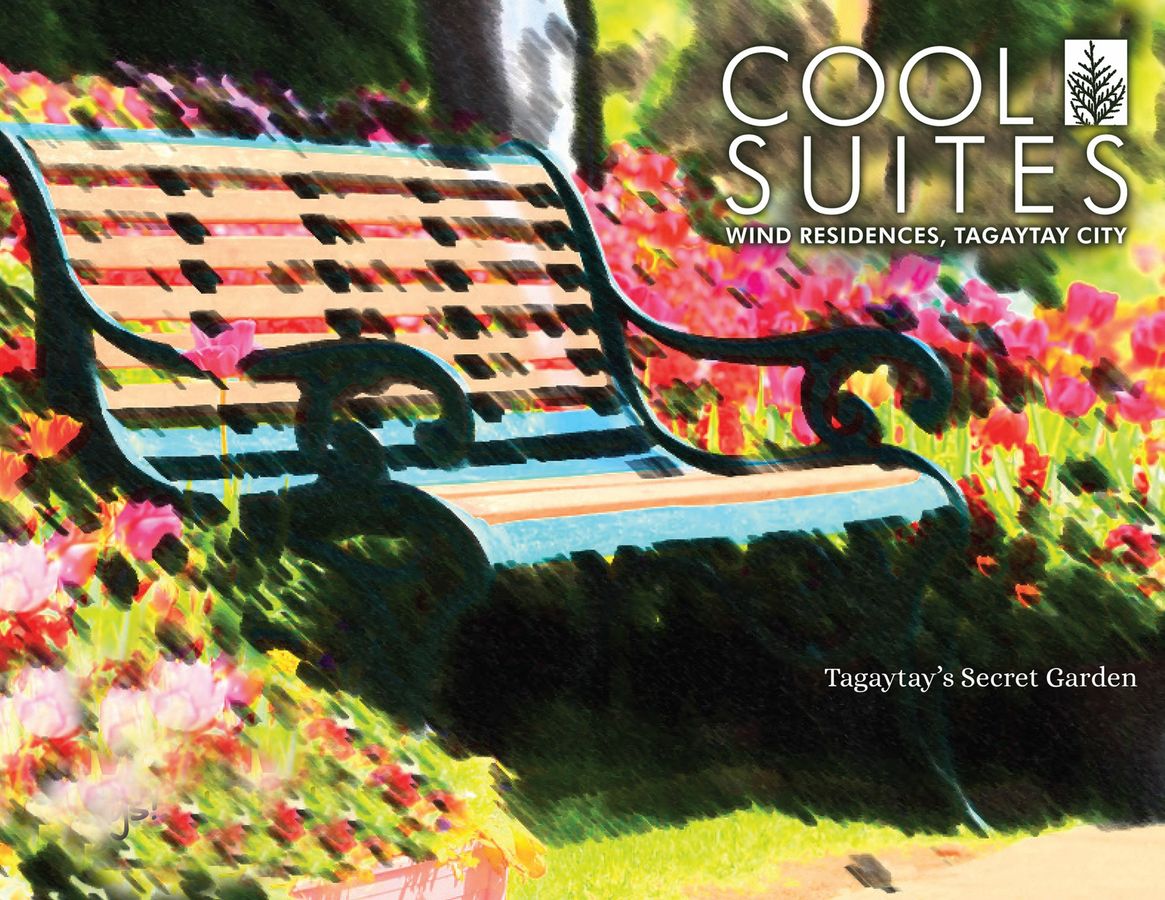 Cool Suite at Wind Residences by SMDC Marketing - Flipsnack