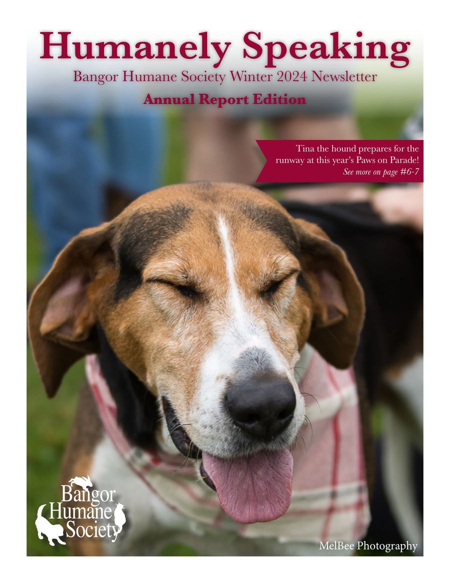 BHS FY24 Annual Report by Kathryn Ravenscraft - Flipsnack