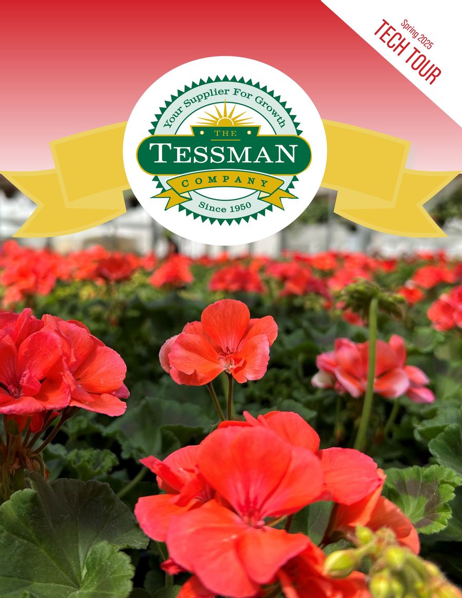 Tessman Tech Tour | 2025 by Ruthie Sauvageau - Flipsnack