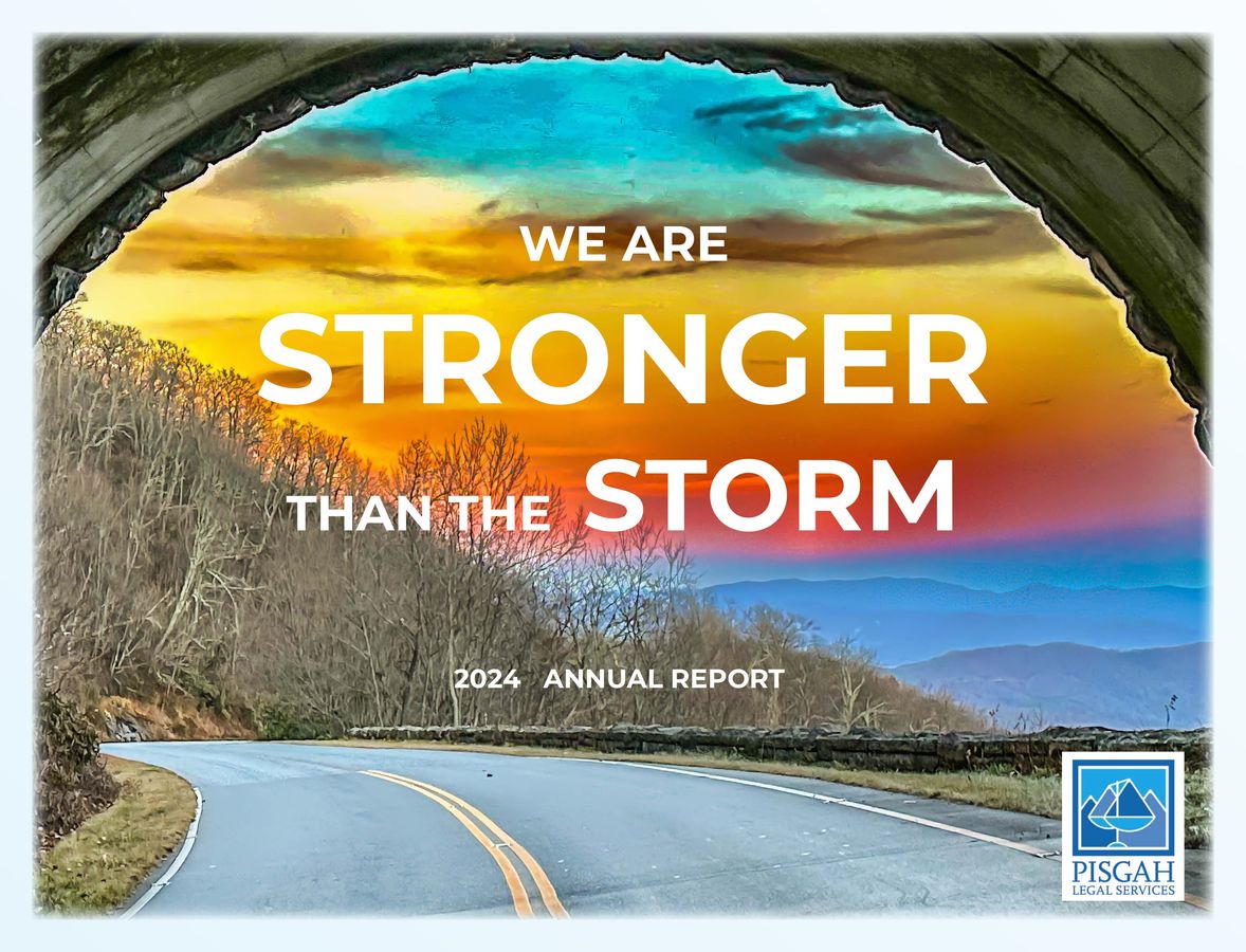 PLS 2024 Annual Report by Pisgah Legal... - Flipsnack