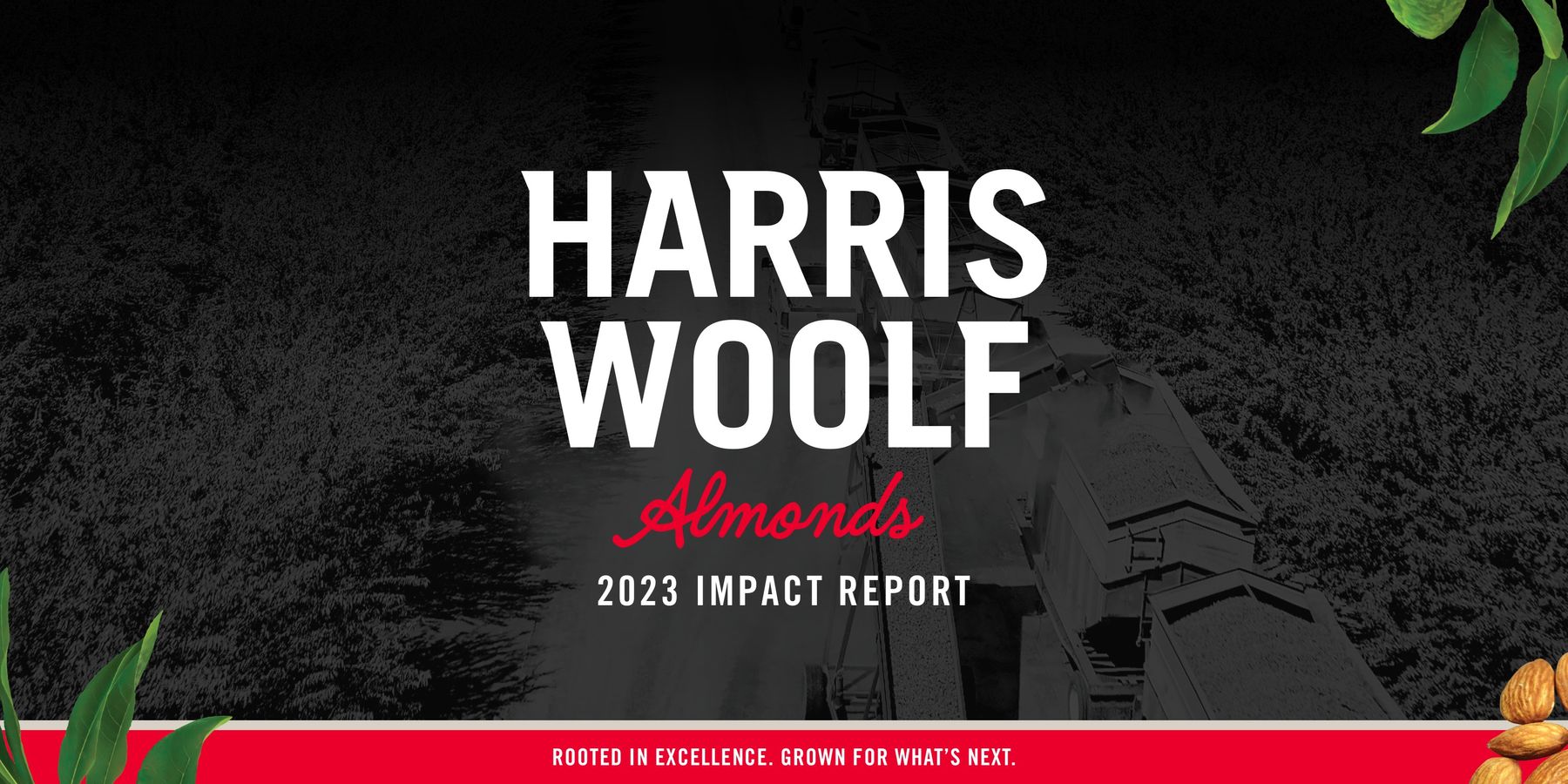 Harris Woolf Almonds - 2023 Impact Report by Delaney Woolwine - Flipsnack