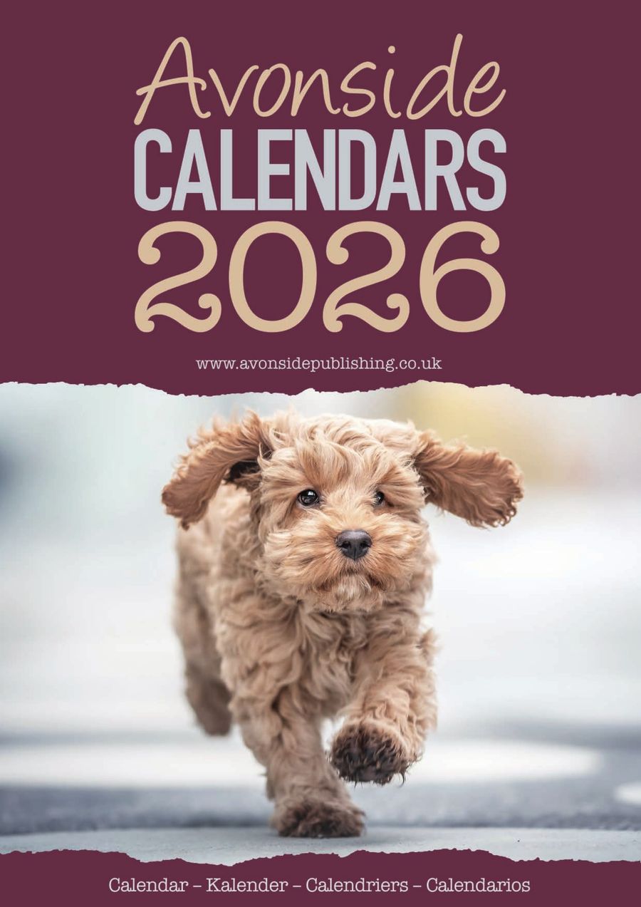 AVON DIGITAL BROCHURE 2026 by Avonside... - Flipsnack