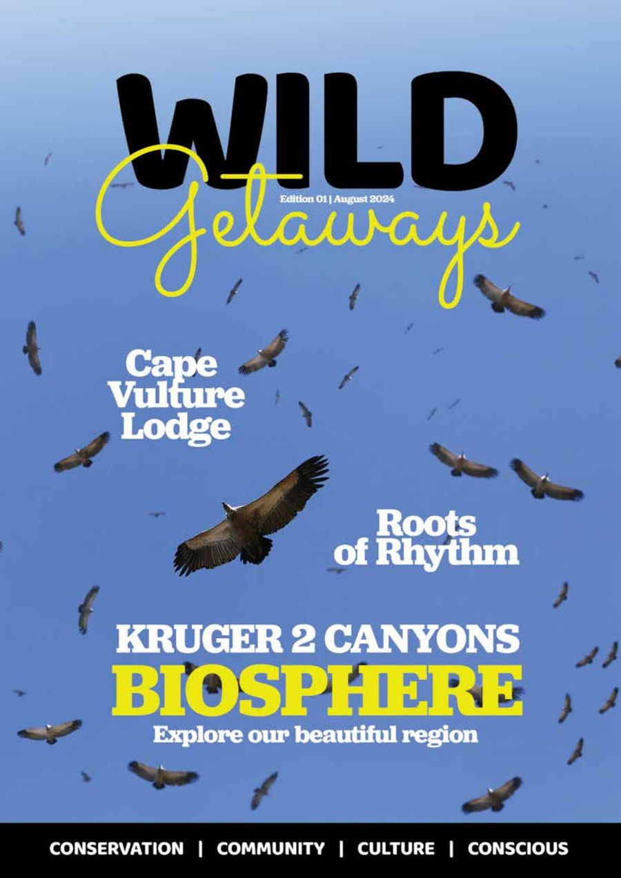 Wild Getaways 01 | August Edition 2024 by Love Limpopo - Flipsnack