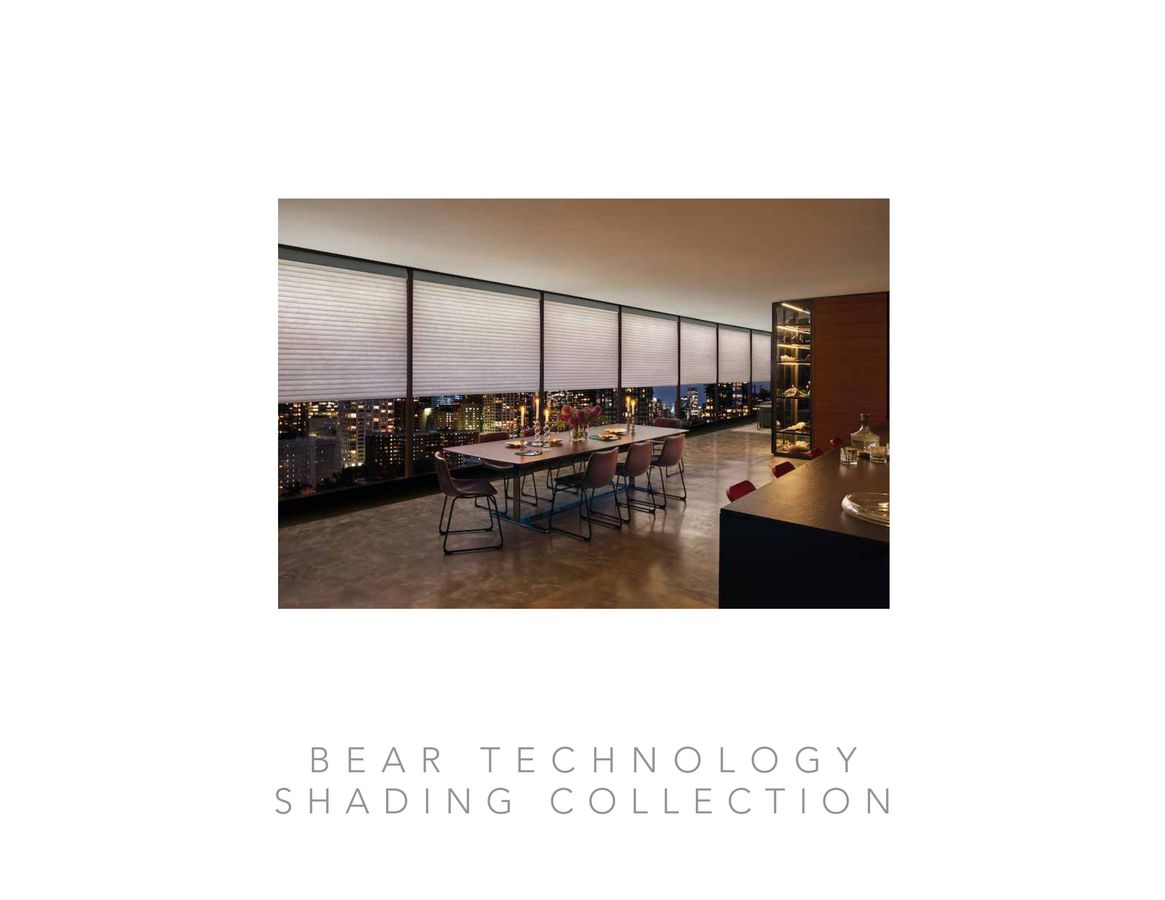 Bear Technology Shading Collection by Greg Ludwig - Flipsnack