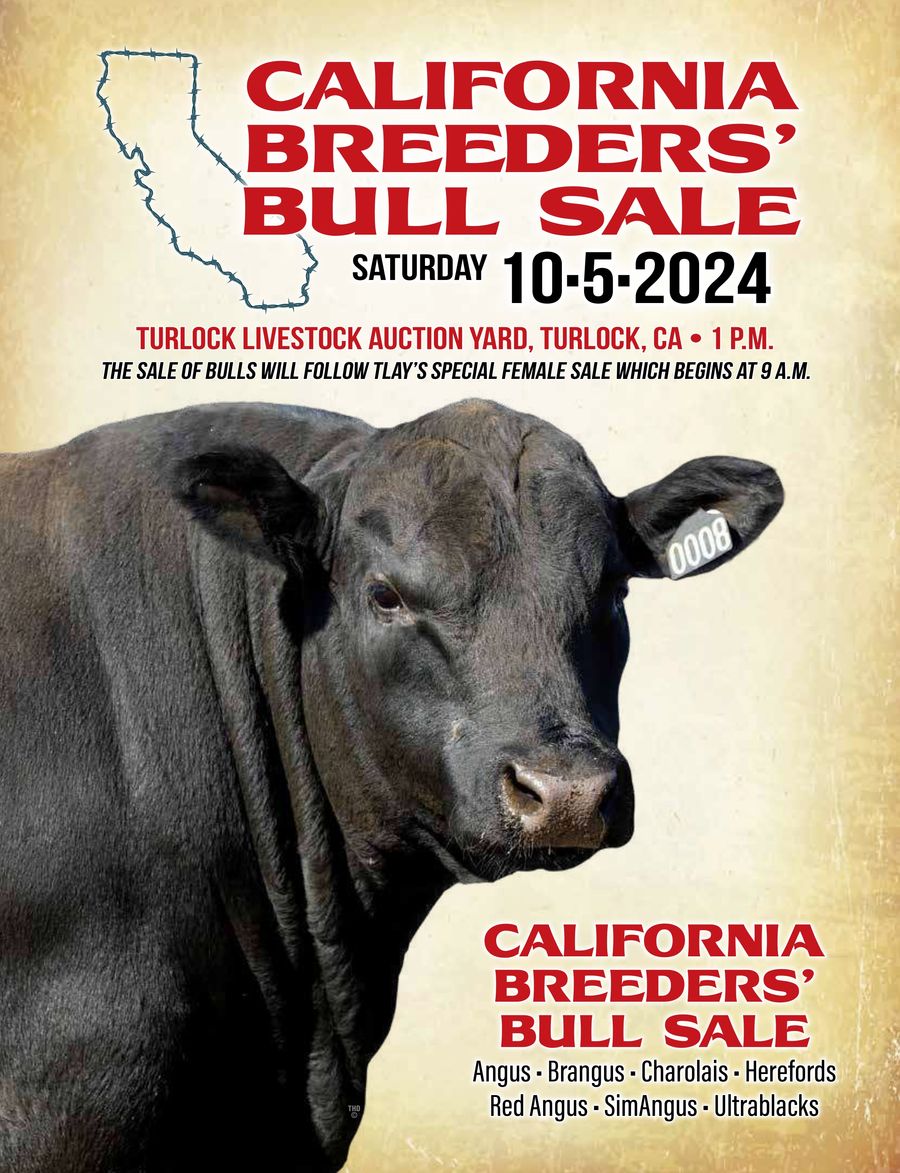 TLAY CA Breeders' Bull Sale by Best of the West - Flipsnack