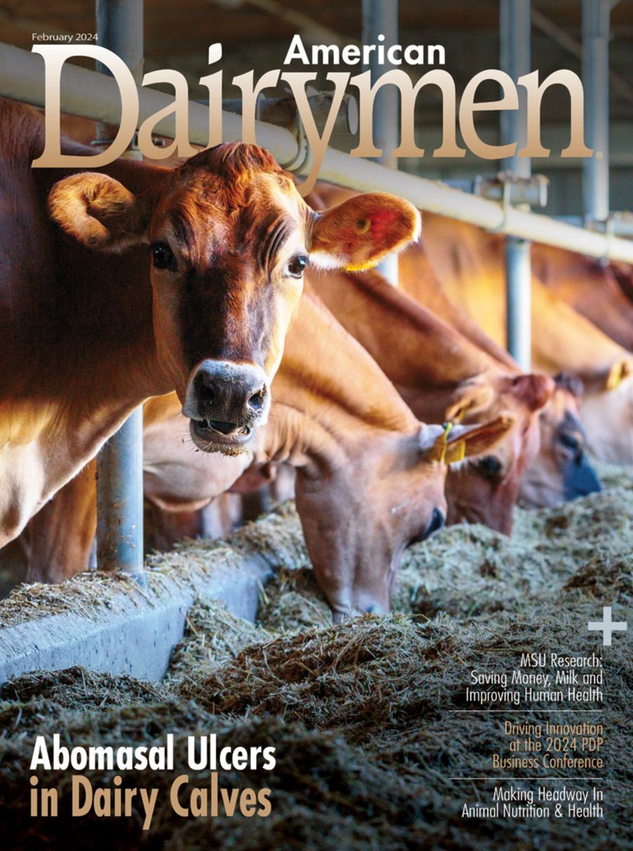 American Dairymen February 2024 by Dustin Hector - Flipsnack