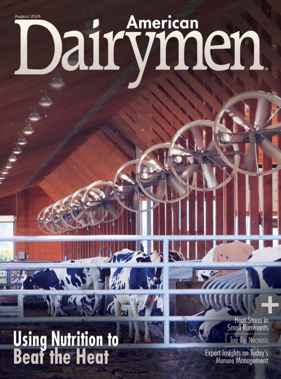 American Dairymen August 2024 by Dustin Hector - Flipsnack