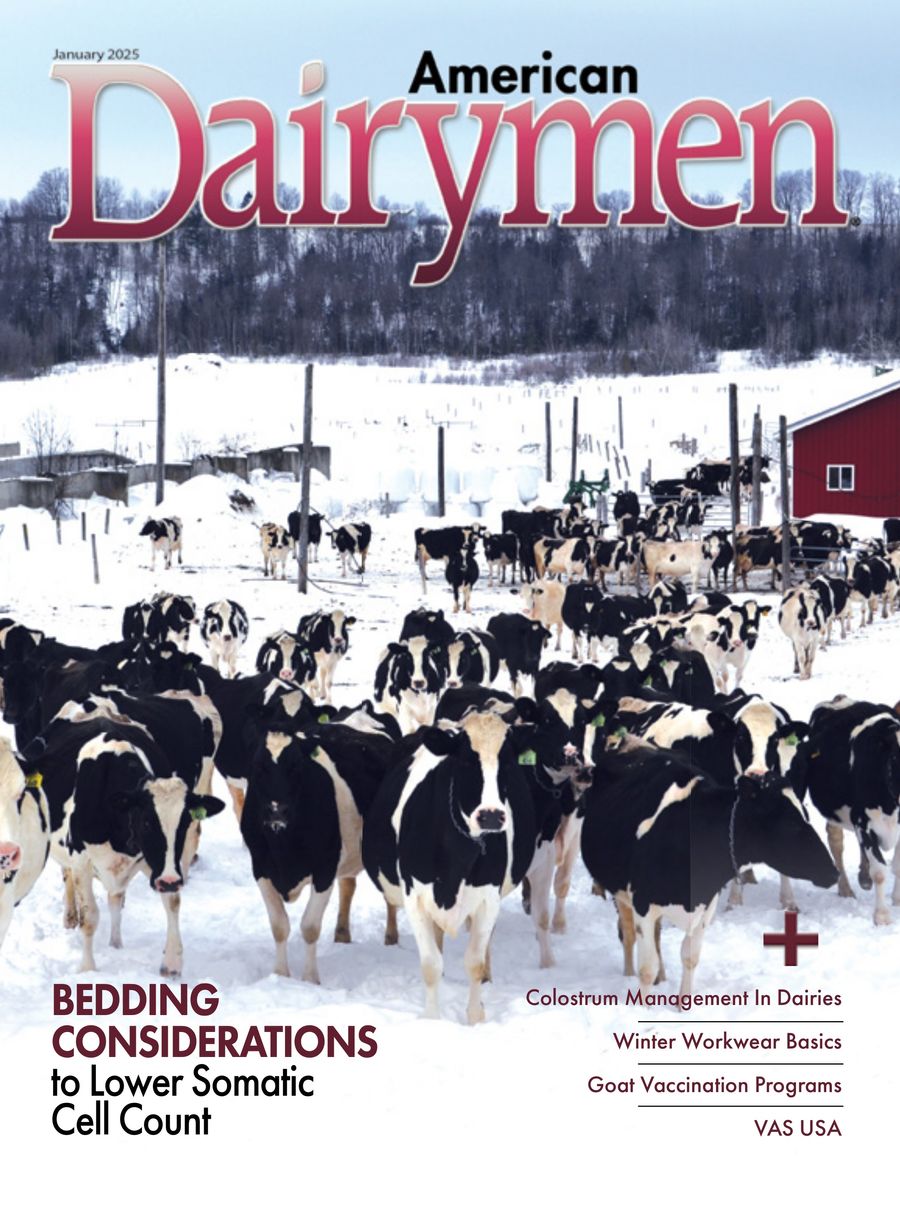 American Dairymen January2025 by Dustin Hector - Flipsnack