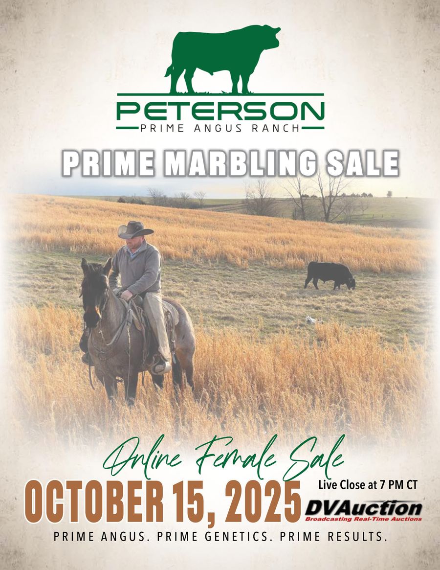 Peterson Prime Angus Ranch LLC-SB-F25 by Dustin Hector - Flipsnack