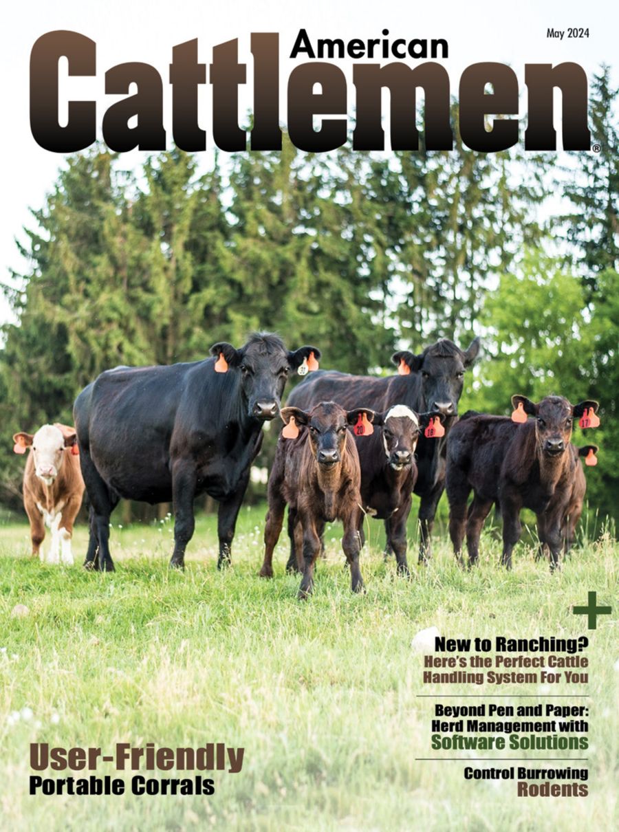 American Cattlemen May 2024 by Dustin Hector - Flipsnack