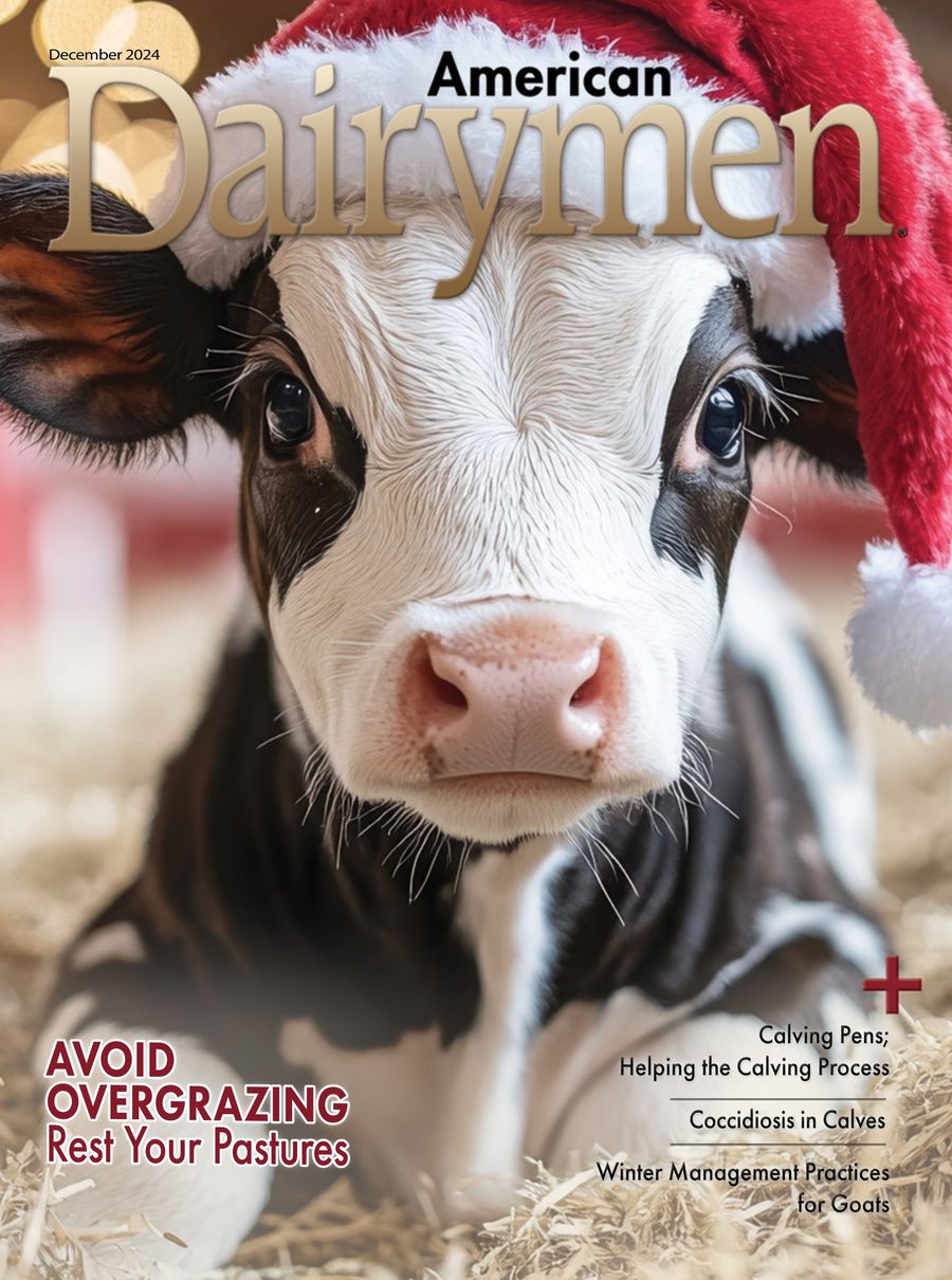 American Dairymen December 2024 by Dustin Hector - Flipsnack