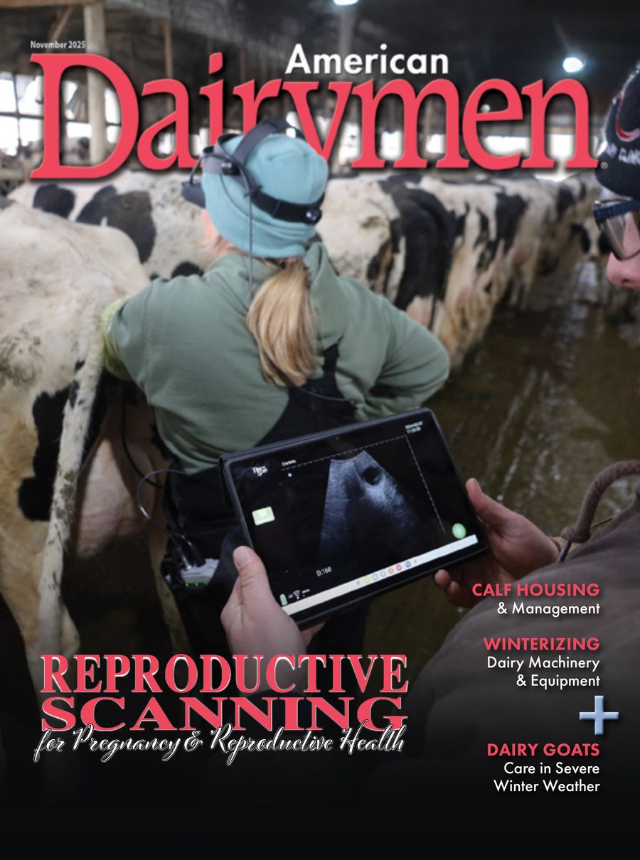 American-Dairymen-November-2025 by Dustin Hector - Flipsnack