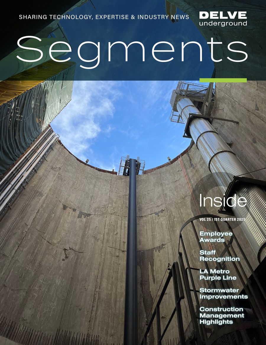 Delve Segments Vol 25_Q1_2025 by Delve Underground