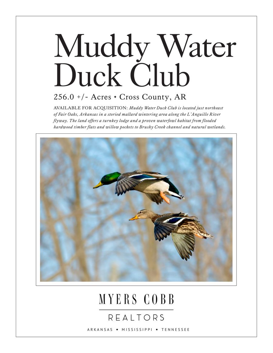Muddy Water Duck Club by Chuck Myers - Flipsnack