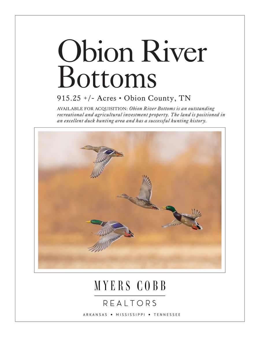 Obion River Bottoms by Chuck Myers - Flipsnack