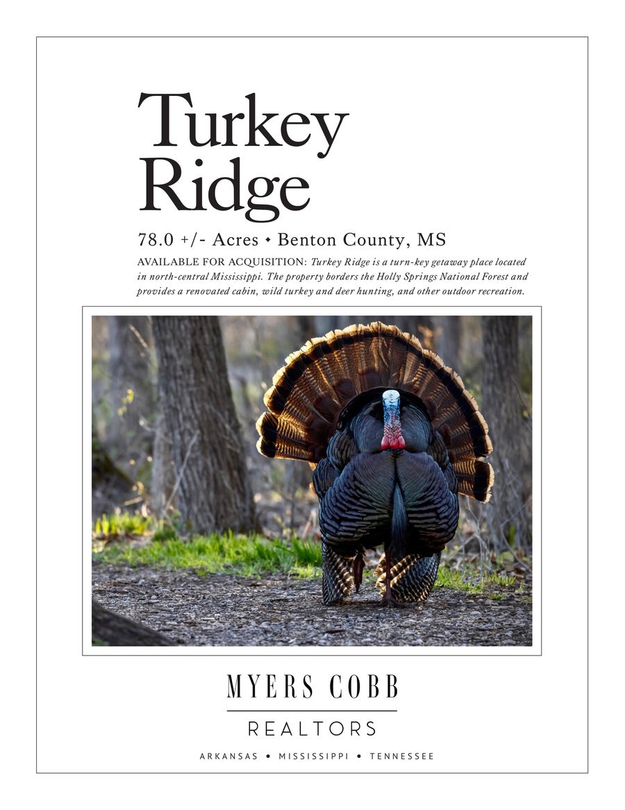 Turkey Ridge by Chuck Myers - Flipsnack