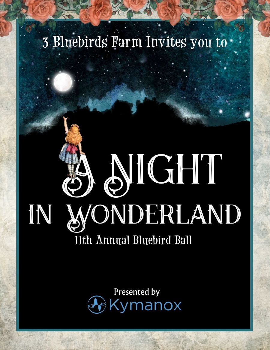 Bluebird Ball 2025 Sponsorship Packet: Online Version by Erin O ...