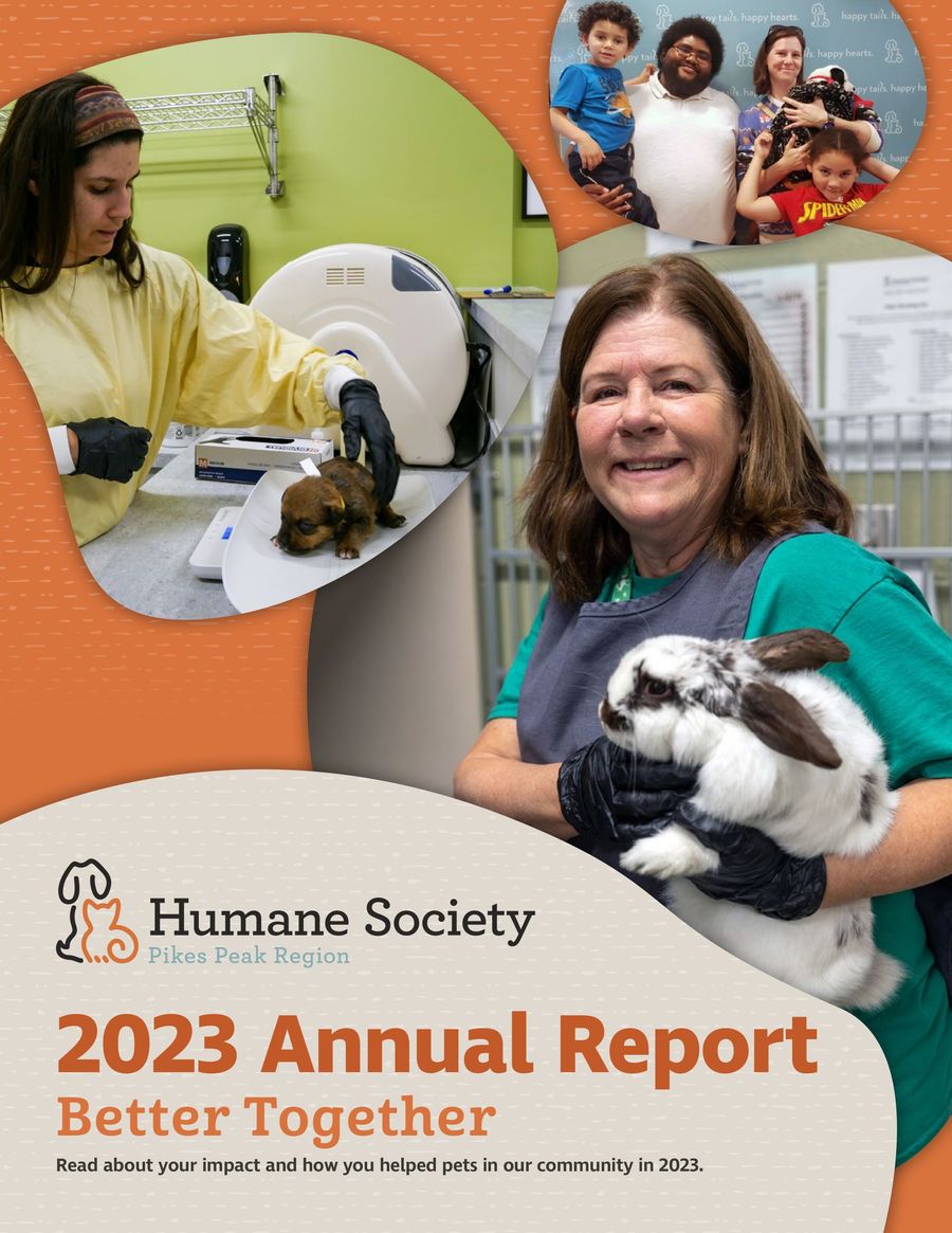 HSPPR Annual Report 2023... - Flipsnack