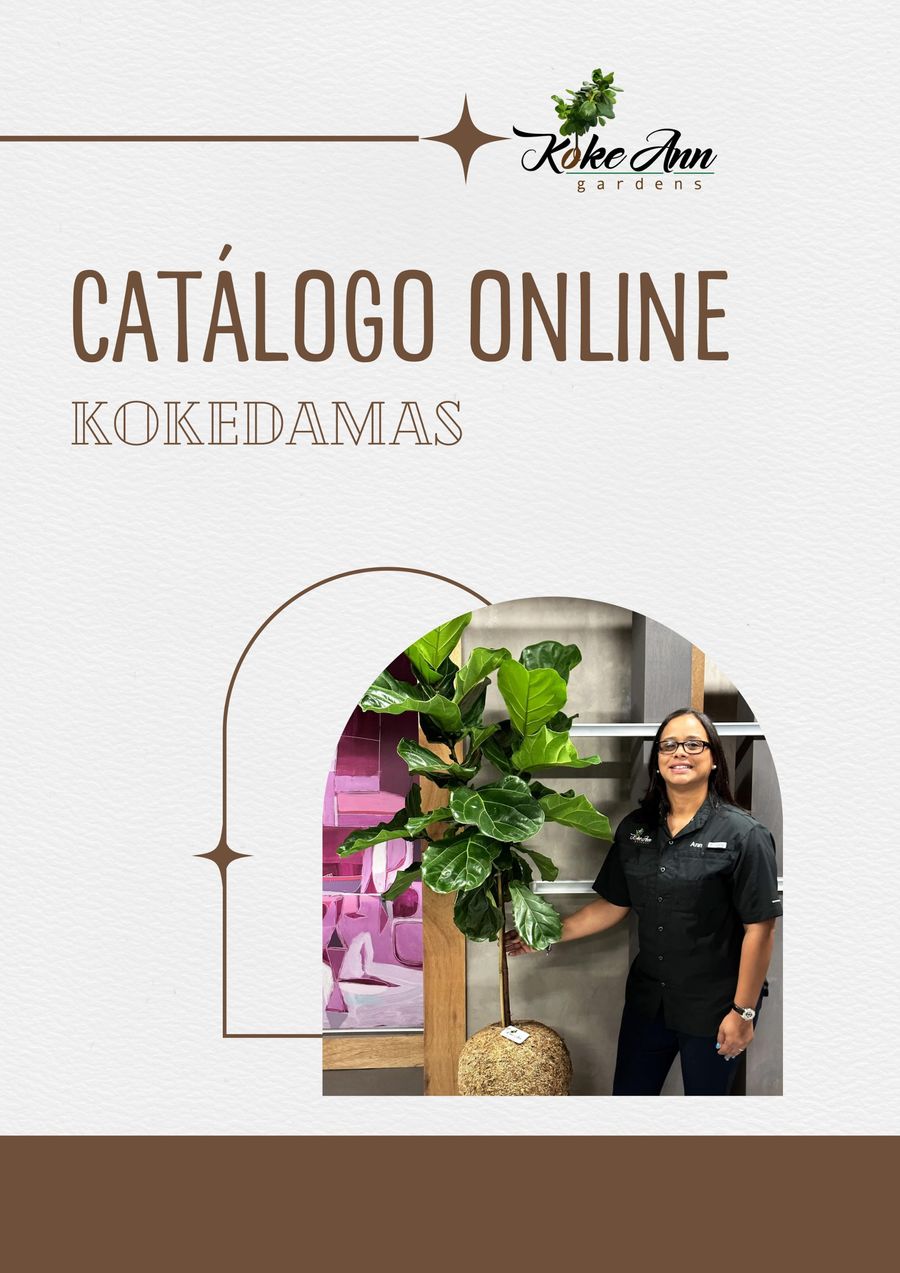 Catálogo de Kokedamas by Kristal Diaz - Flipsnack